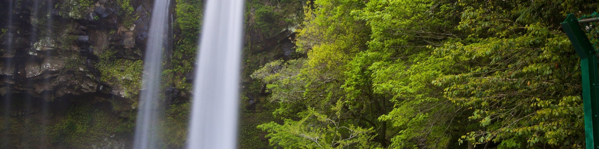 Cheonjiyeon Waterfall showing a cascade