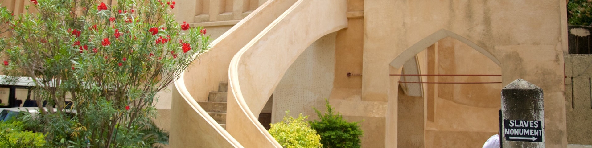 Anglican Cathedral showing heritage elements and wildflowers