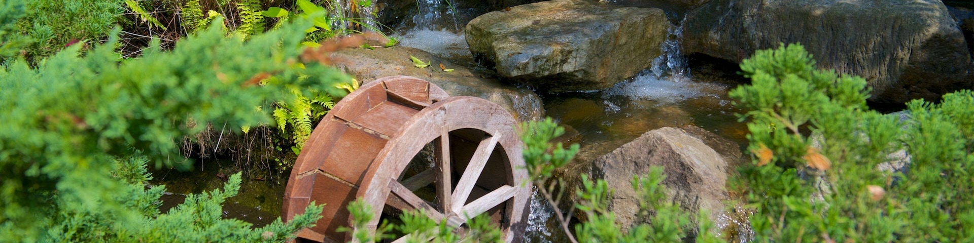 Hsinchu Botanical Garden featuring a garden and a pond