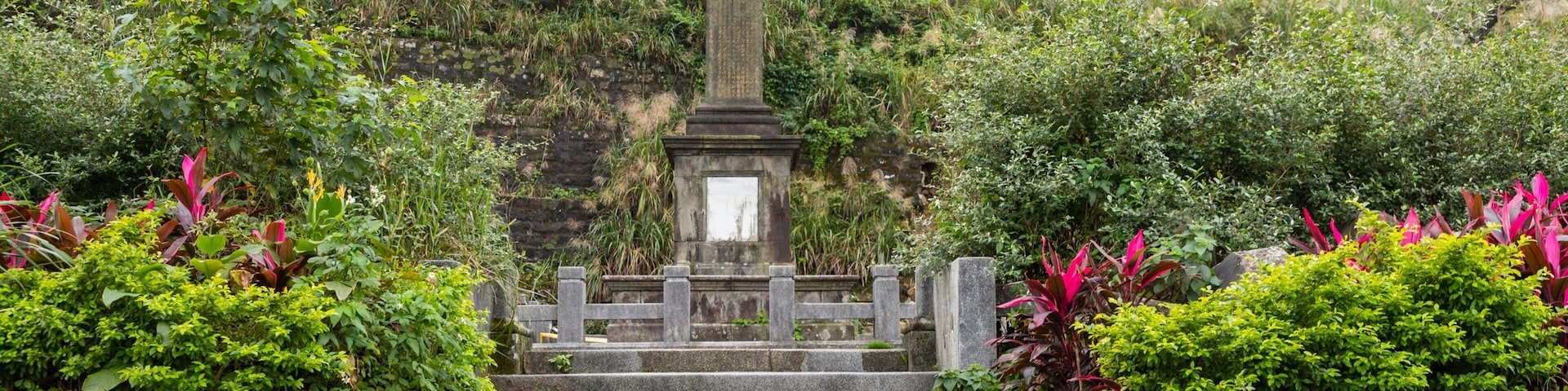 Songde Park showing wildflowers and a park