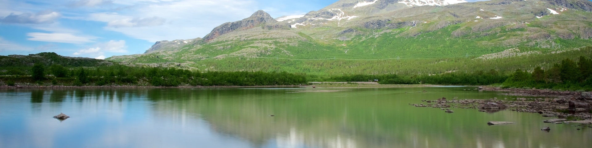 Parque Nacional de Stora Sjofallet mostrando um lago ou charco