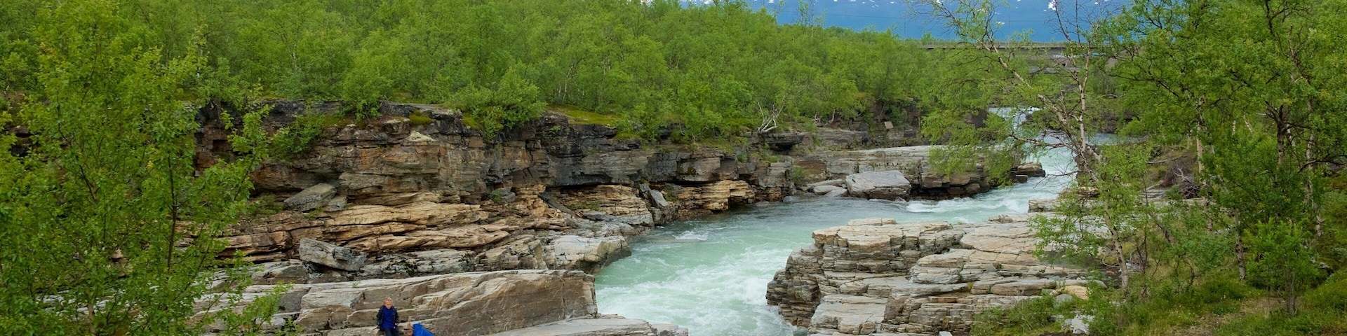 Parque Nacional de Abisko caracterizando córrego