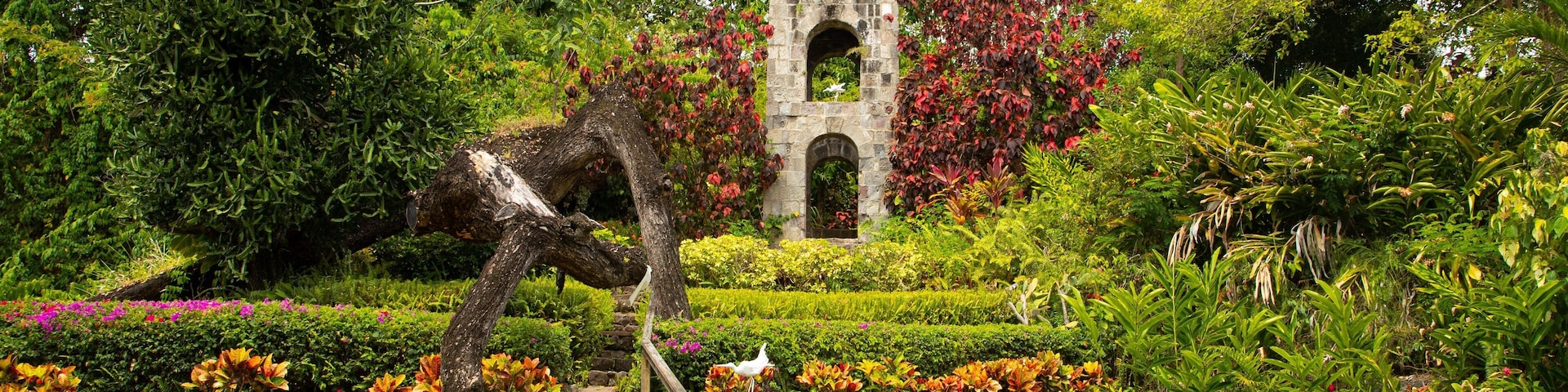 Romney Manor which includes a park and wildflowers