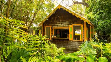 Uma casa de madeira com persianas verdes, cercada por vegetação tropical exuberante.