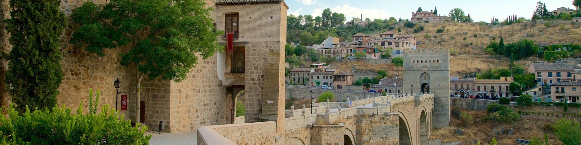 Ponte de San Martín
