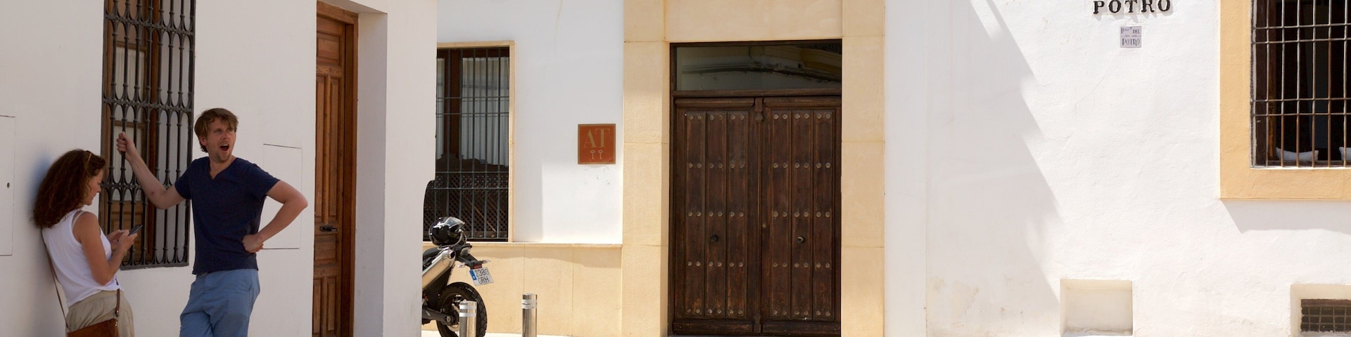 Plaza del Potro which includes street scenes as well as a small group of people