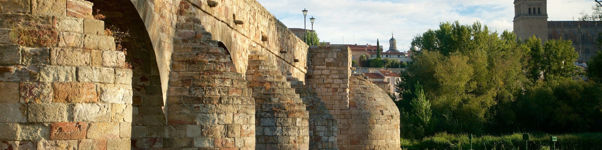 Ponte Romana
