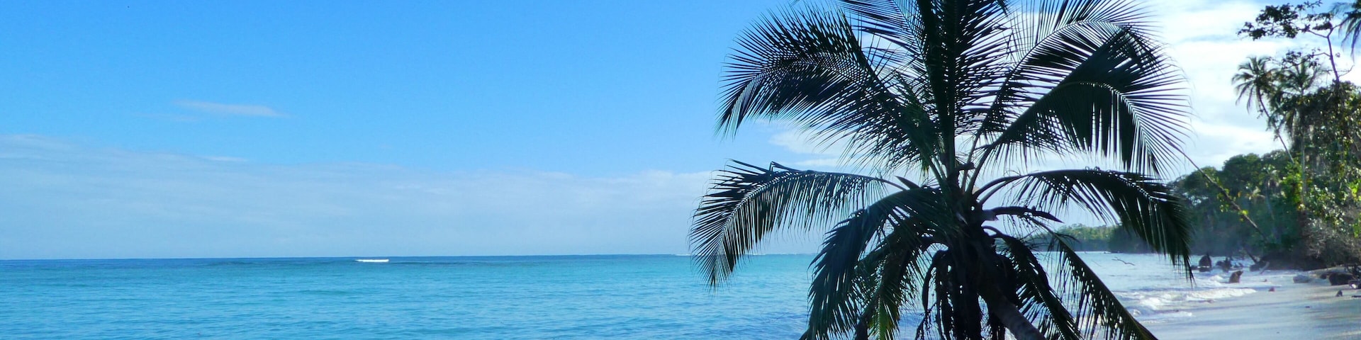 Cahuita National Park, Great walks through the rainforest