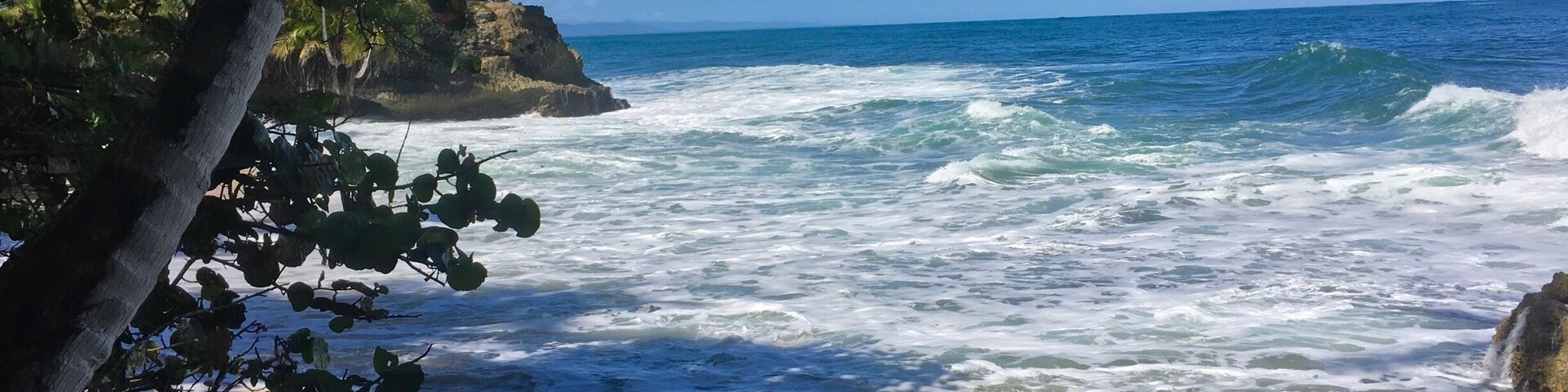 Uma praia com ondas quebrando na costa, rodeada por árvores e um céu azul límpido.