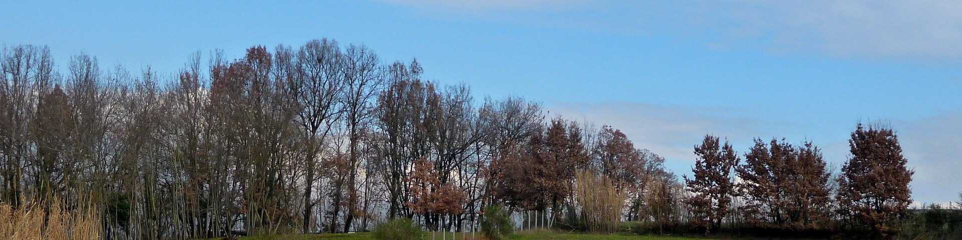 Panorama di campagna nei pressi di Gavignano