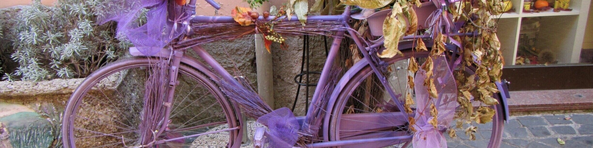 sitting outside a shop