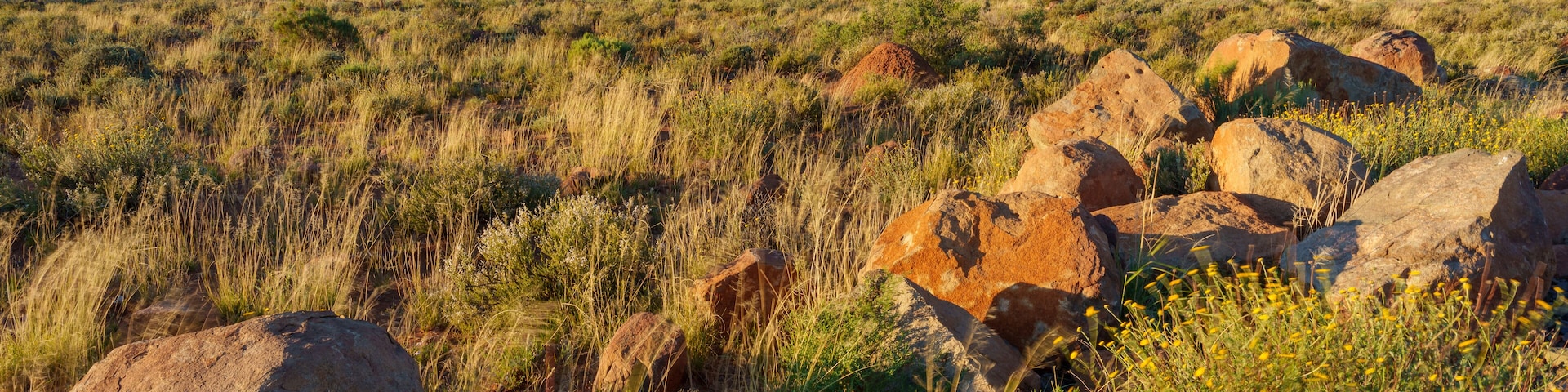 Terreno rochoso com grandes pedras e vegetação escassa sob um céu claro.