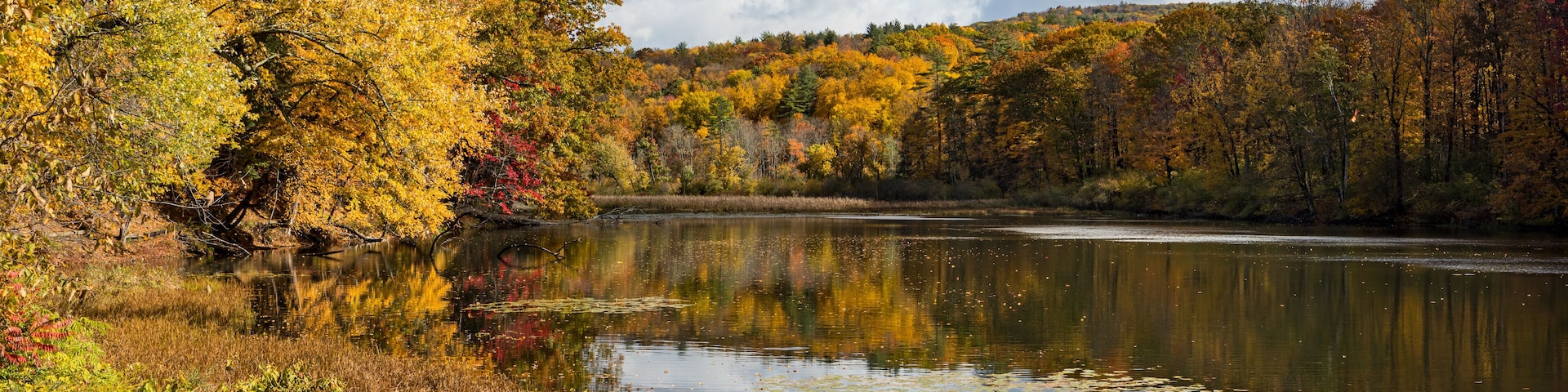 Um lago tranquilo rodeado por árvores de cores outonais.