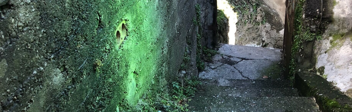 Sometimes live can make amazing jokes, there's a small flight near the ice cream shop, and if you take it this is what you can see😻