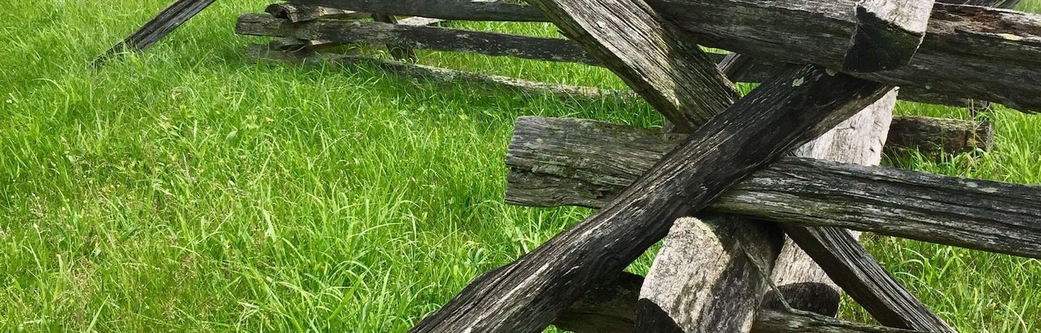 Looking through the fence line along the Sunken Road toward the observation tower that was built by Veterans in 1896.