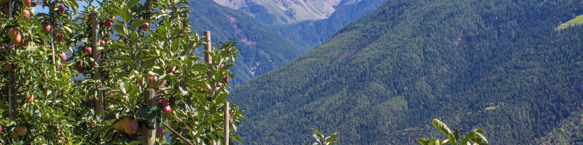 Schlanders, Province of Bolzano - South Tyrol, Italy Hasenörl von Schlanders aus gesehen