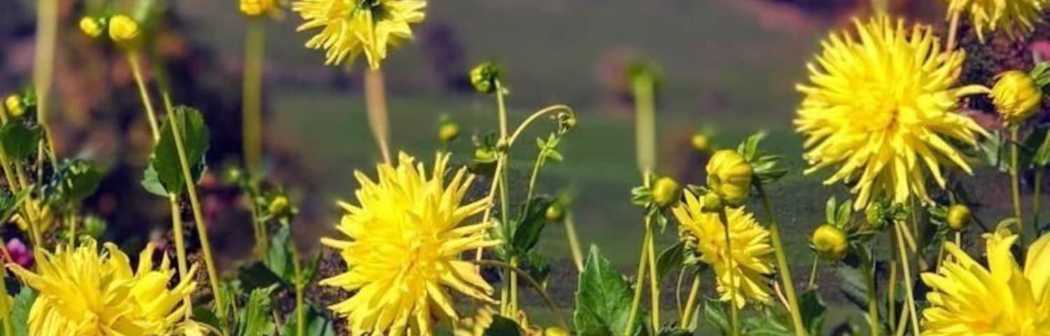 Church on the hilltop