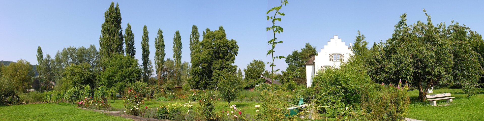 Werd Island near Stein am Rhein