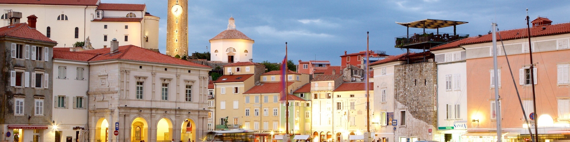 Piran showing a marina, boating and night scenes