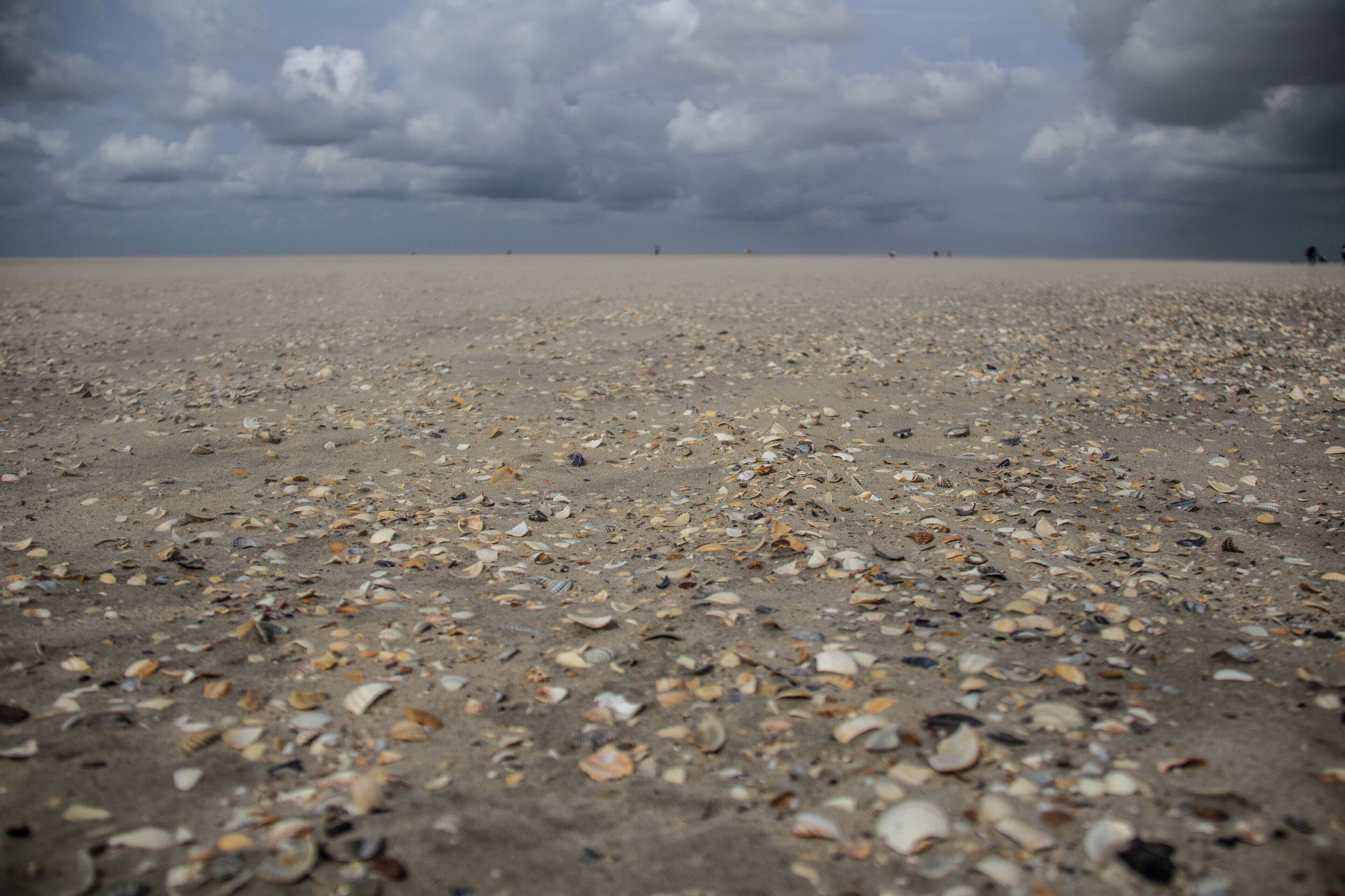 Uma praia com conchas espalhadas e um céu nublado.