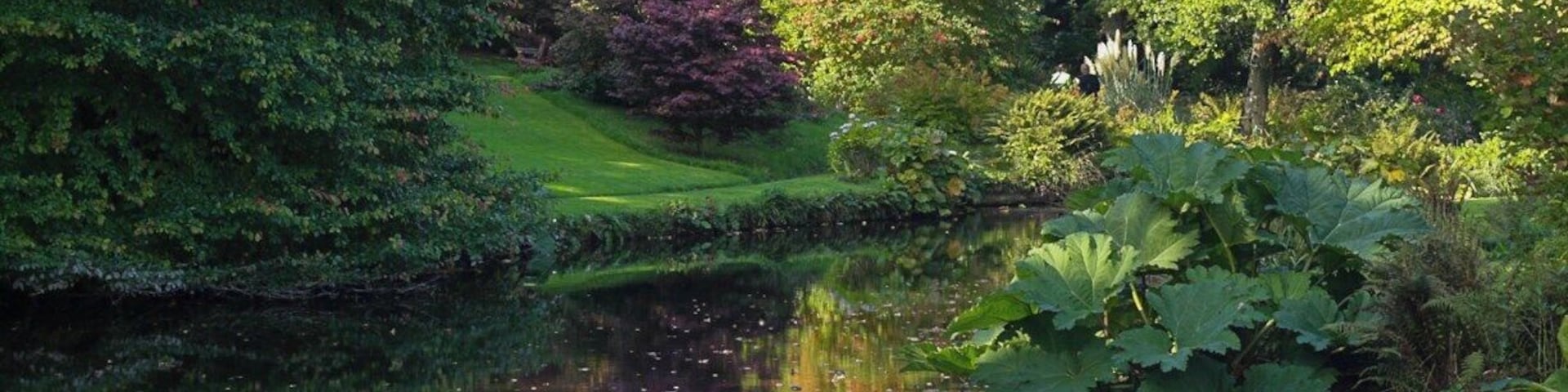 the autumn colours are just arriving at Mount Usher Gardens, Co Wicklow