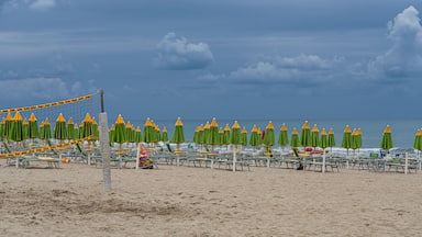 Uma praia com fileiras de guarda-sóis verdes e amarelos, uma rede de voleibol e uma faixa de areia.