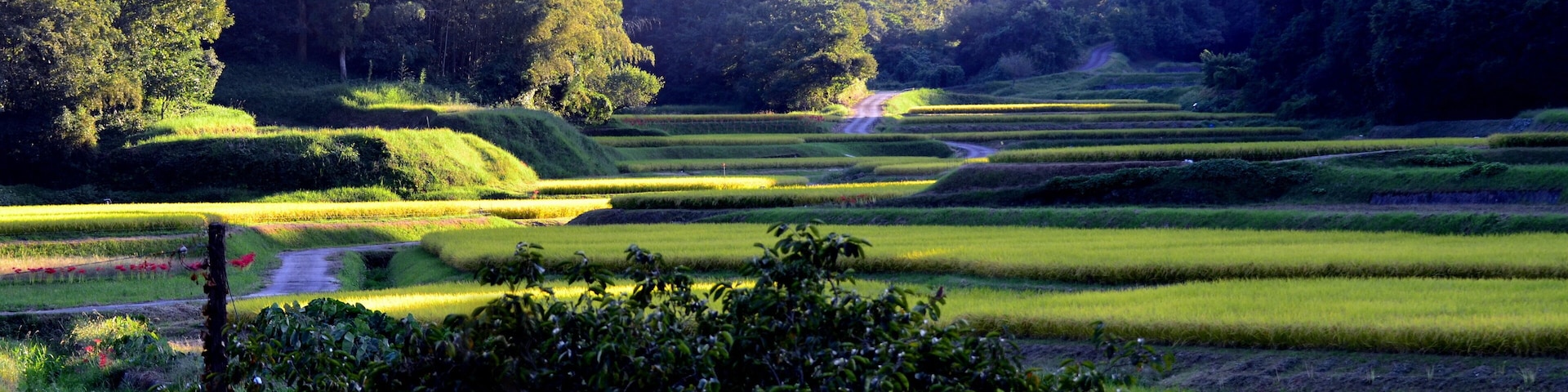 Yotsubaru countryside