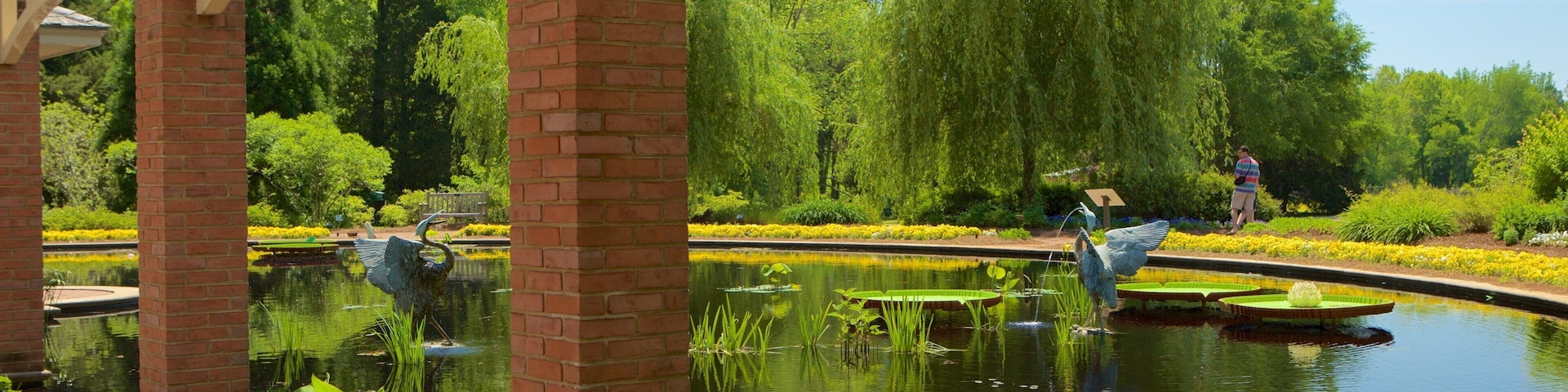 Huntsville Botanical Garden featuring a fountain and a garden