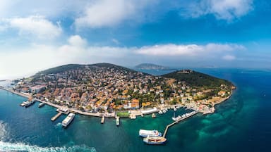 Vista aérea de uma vila costeira com um porto, barcos e montanhas ao fundo.