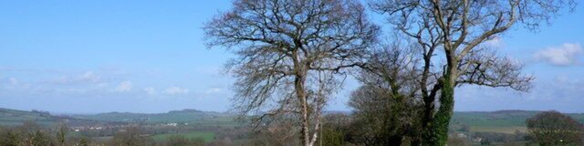 Lane from Blackdown Hill to Childhay This small lane runs east from the junction with the B3162 at Blackdown Hill down the valley to Childhay manor