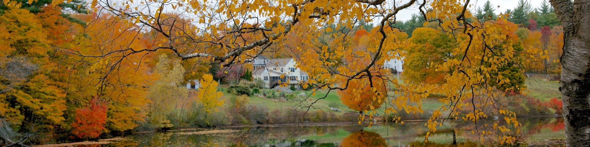 Hancock showing fall colors and a lake or waterhole