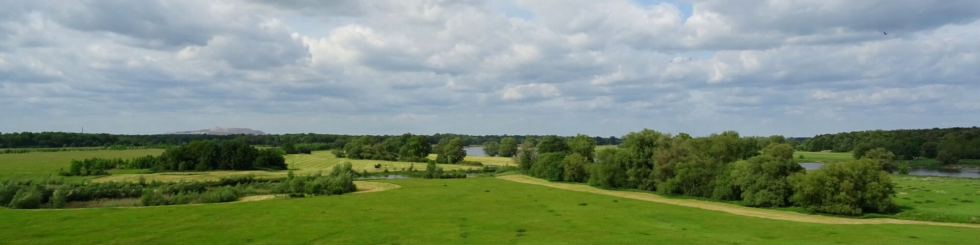 Blick auf die Elbaue zwischen Magdeburg und Glindenberg im Biosphärenreservat Mittelelbe in der Nähe des Wasserstraßenkreuzes auf der Trogbrücke aufgenommen.