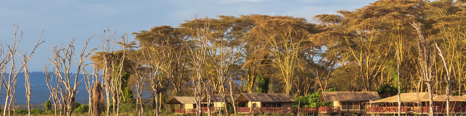 Vista para um lago com árvores, céu claro e uma fileira de cabanas.