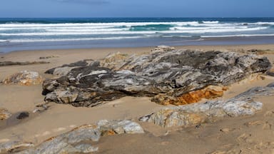 Uma praia rochosa com ondas quebrando na costa.