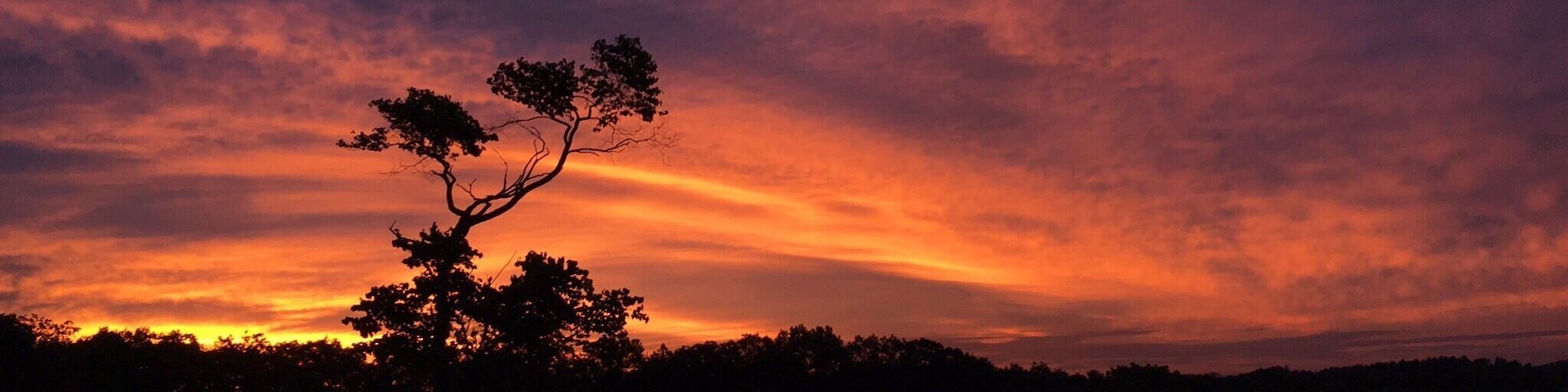 Sometimes the most spectacular place is your own front yard. #visitnc #evolutionofasunrise #sunrise #northcarolina #nothingcouldbefiner #nature #gratitude