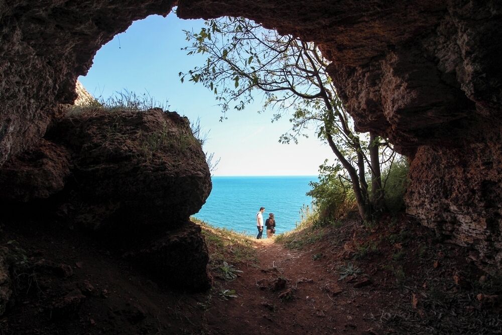 Entrada de uma caverna com vista para o mar e uma árvore.