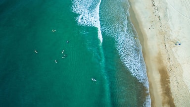 Vista aérea de uma praia com águas azul-turquesa e costa arenosa.