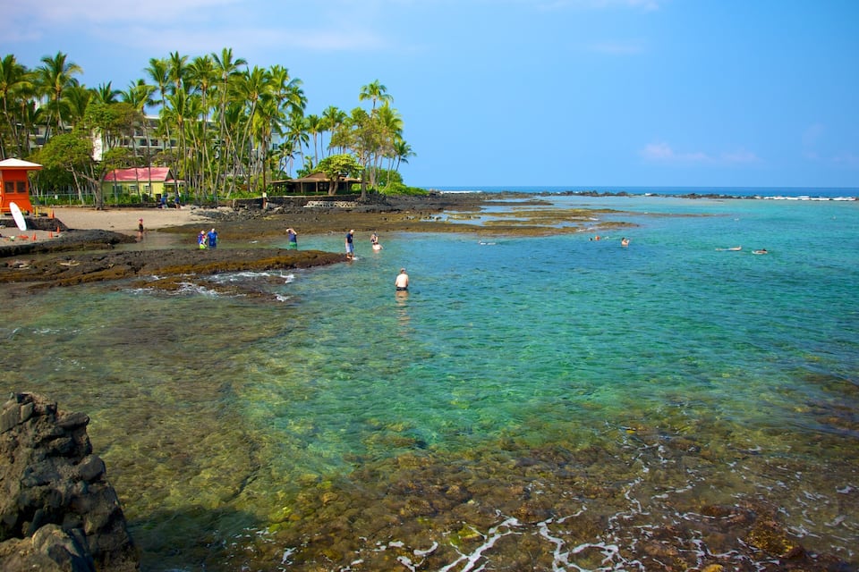 Uma praia tropical com águas turquesa cristalinas, palmeiras e uma torre salva-vidas.