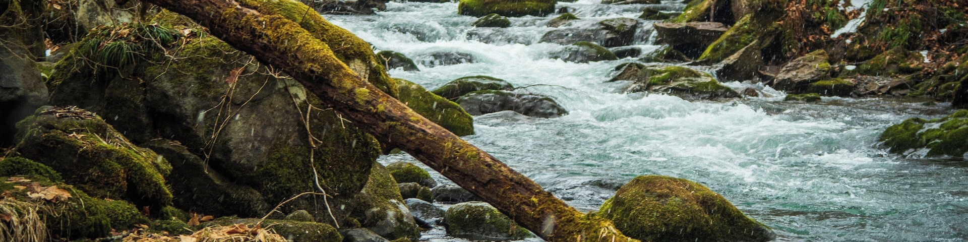 Great trails at Oirase Gorge. The visitors center is about 500m before Google  Maps takes you to.