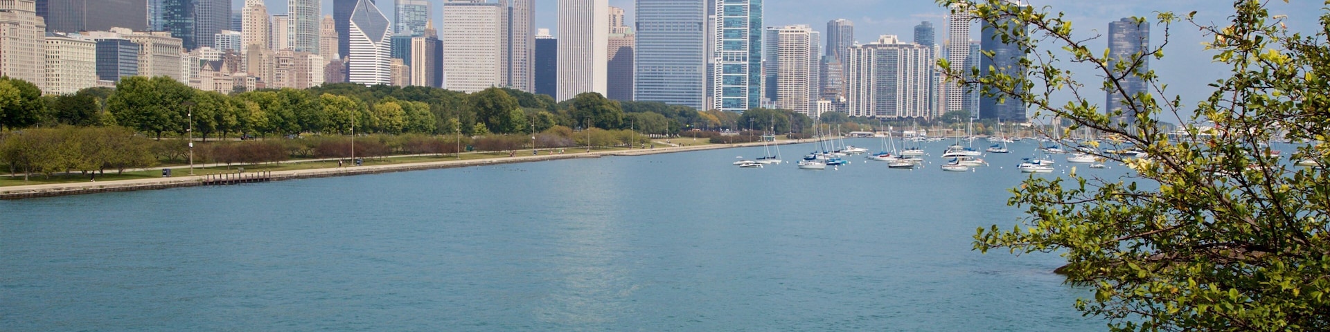 Northerly Island Park which includes a bay or harbor, a city and a park