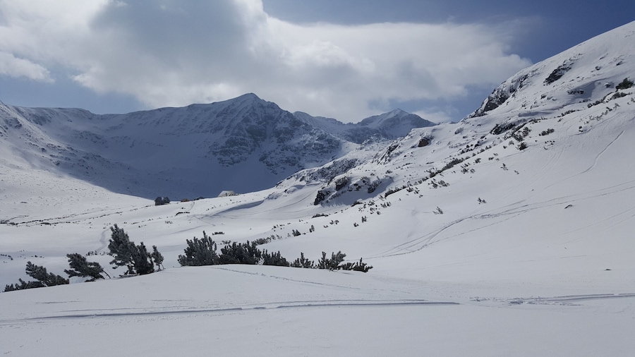 Paisagem montanhosa coberta de neve, céu claro e algumas árvores esparsas.