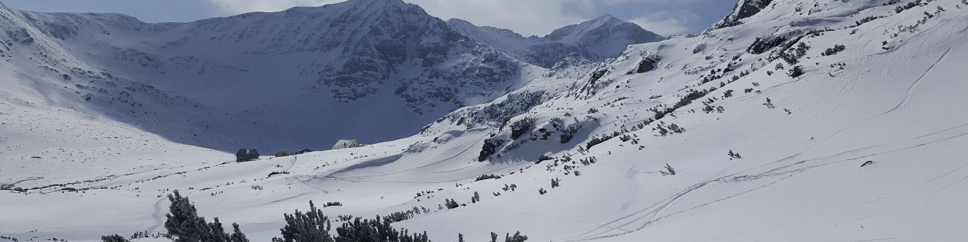Paisagem montanhosa coberta de neve, céu claro e algumas árvores esparsas.
