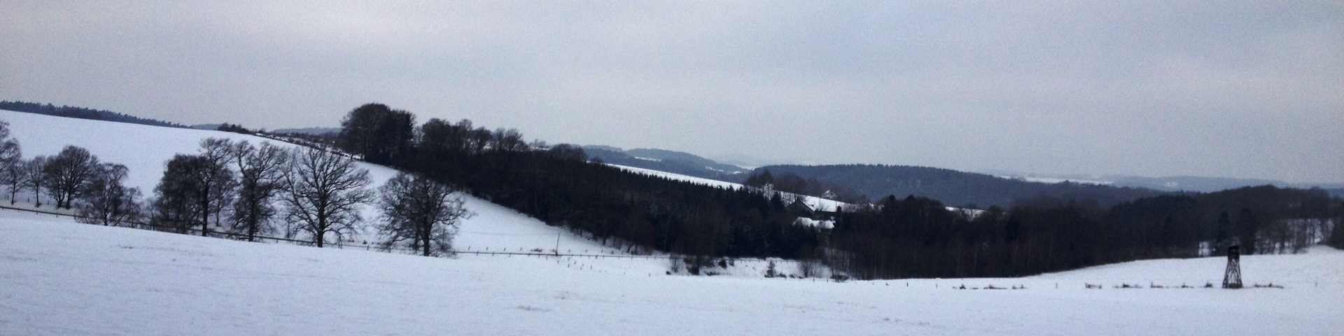 Wiese