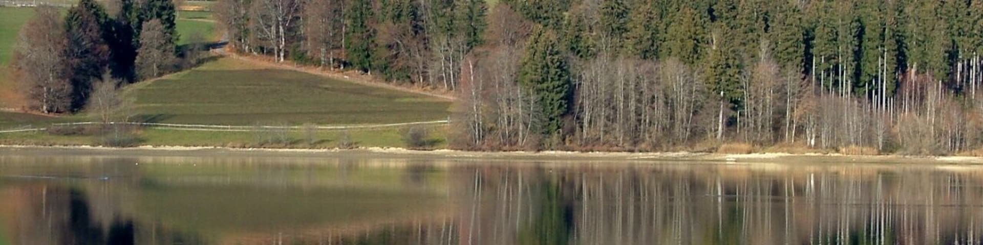 Um lago tranquilo refletindo árvores e casas na margem.