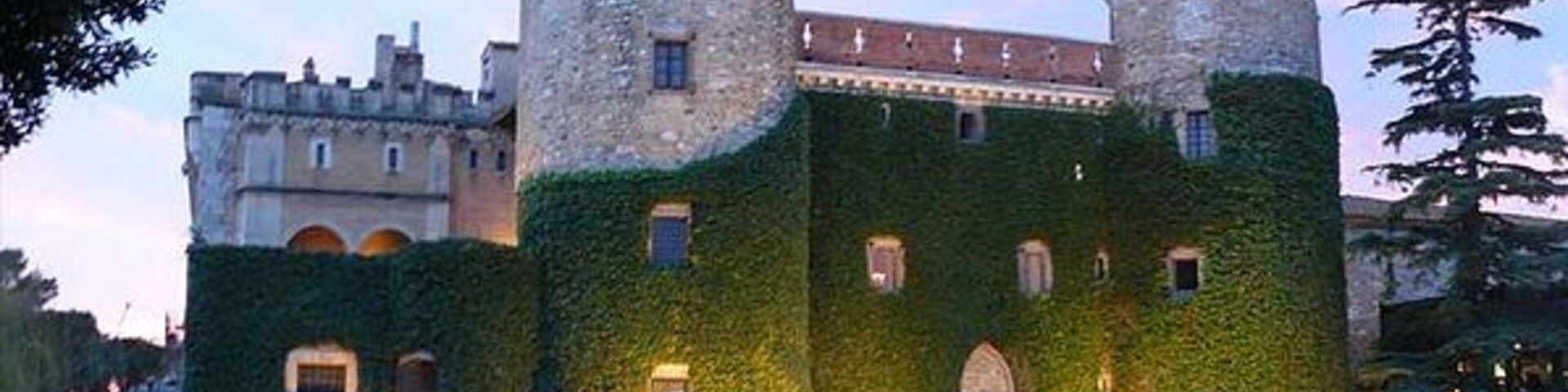 Um castelo com duas torres, muros cobertos de hera e um cisne em primeiro plano.