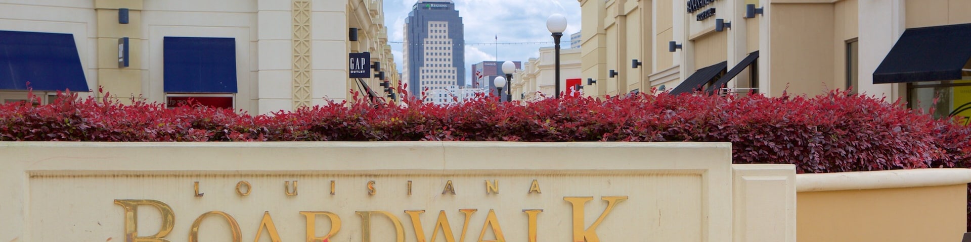 Louisiana Boardwalk which includes flowers and signage
