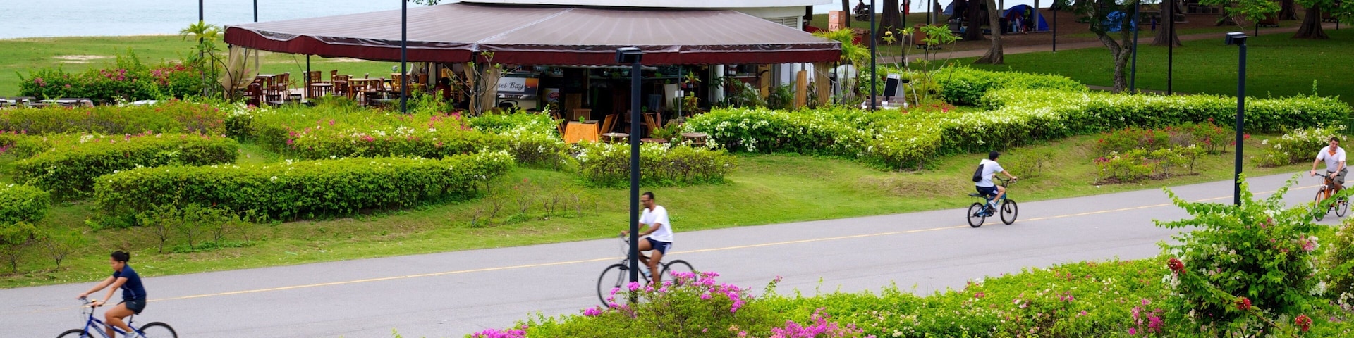 Parque da Costa Leste caracterizando paisagens litorâneas, ciclismo e flores
