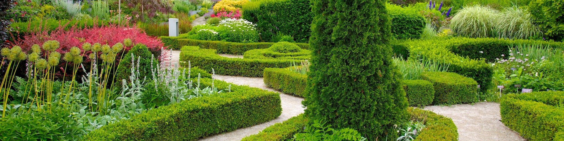 Toronto Botanical Garden que inclui um jardim