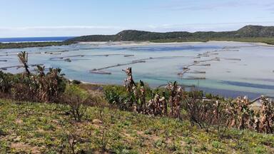 Paisagem costeira com florestas de mangue, poças de maré e colinas ao longe.