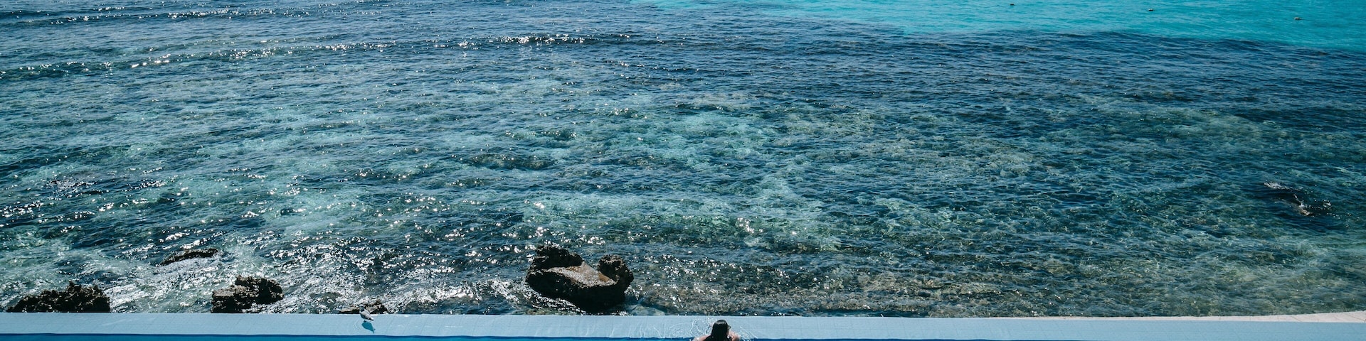 Garrafon Natural Reef Park showing a pool, tropical scenes and swimming